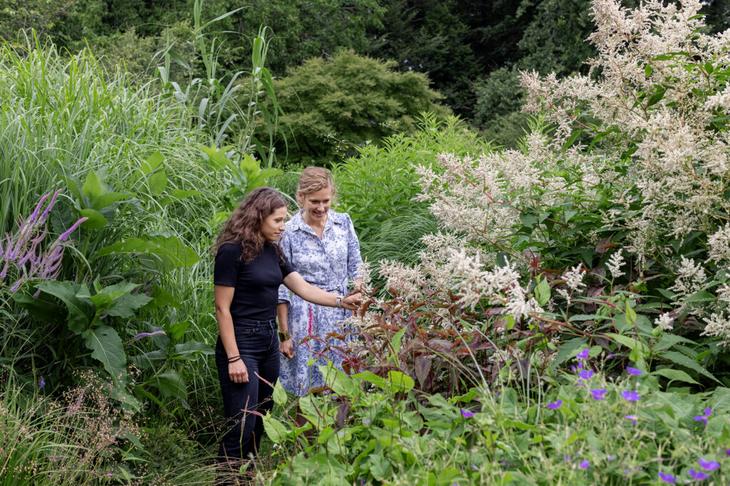 Räte & Expertinnen - foodward